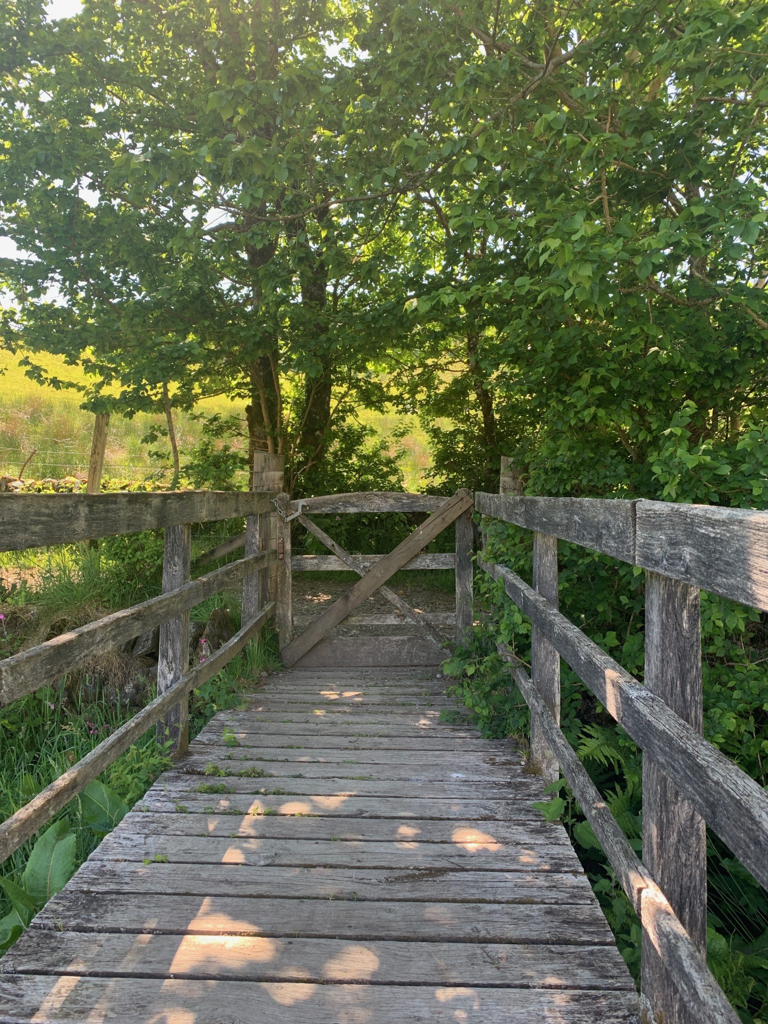 Kilmartin Castle | Luxury Guesthouse Stay